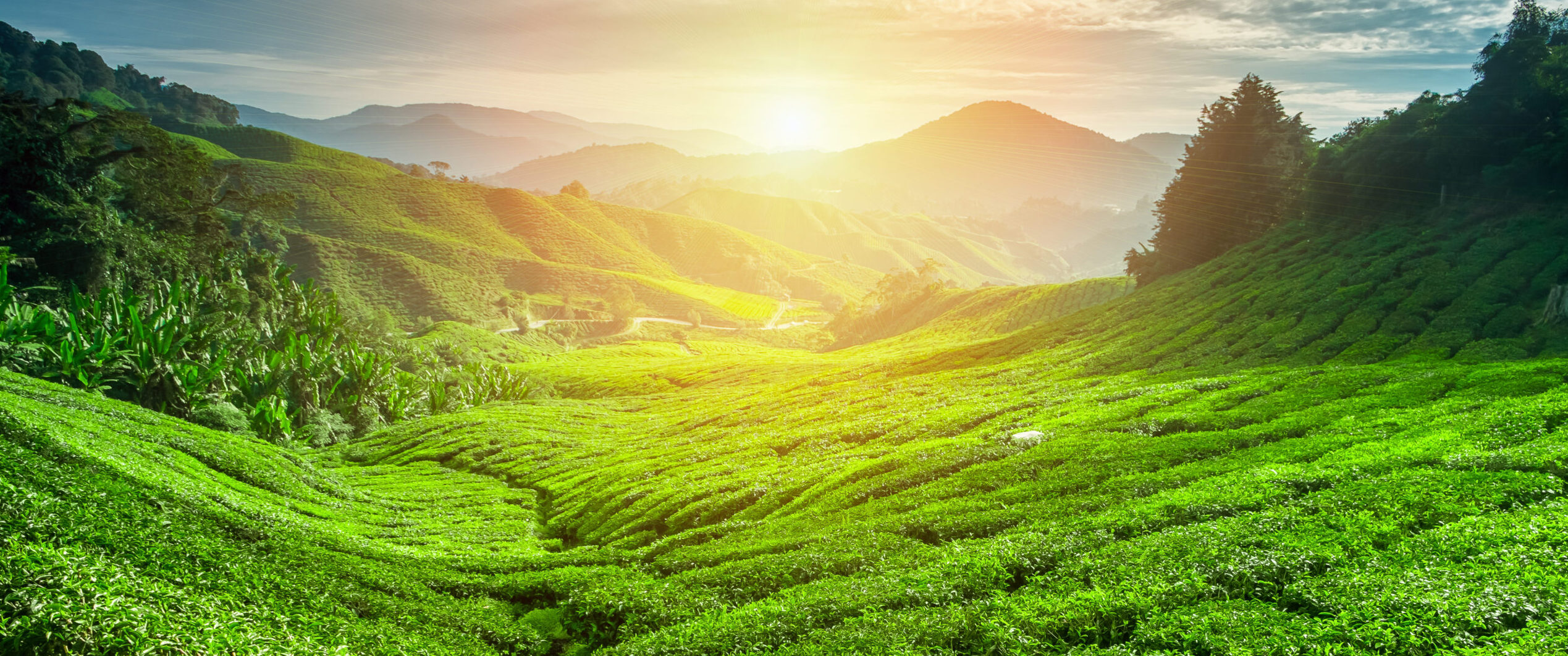 Homepage | Colorado Salt Cave